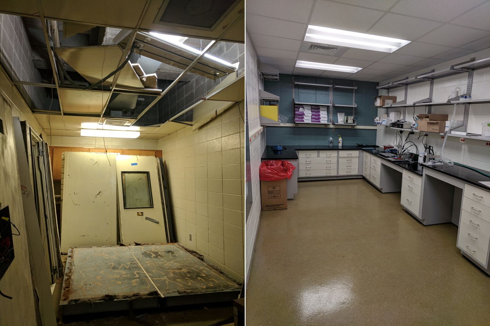 Lab space before and after renovations | Fadok Lab